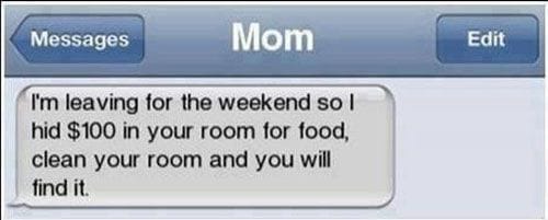 10 Cleaning Memes That Prove You Aren't Alone - The Maids